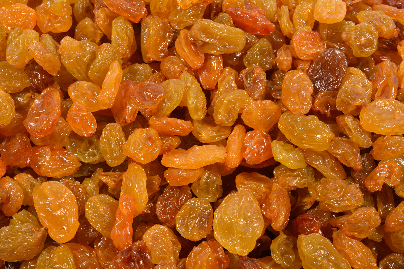Raisins, Golden (SO2)-1 lb. – Texas Pecan Company