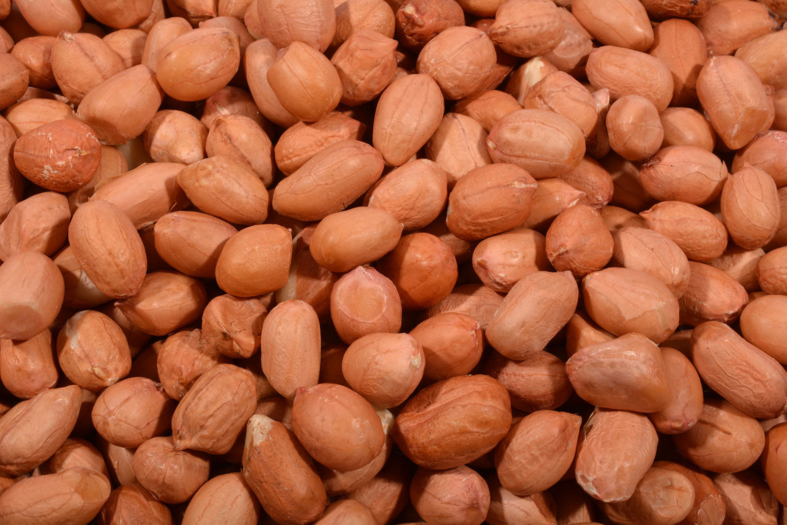 Peanuts, Raw Whole Spanish-1 lb. – Texas Pecan Company